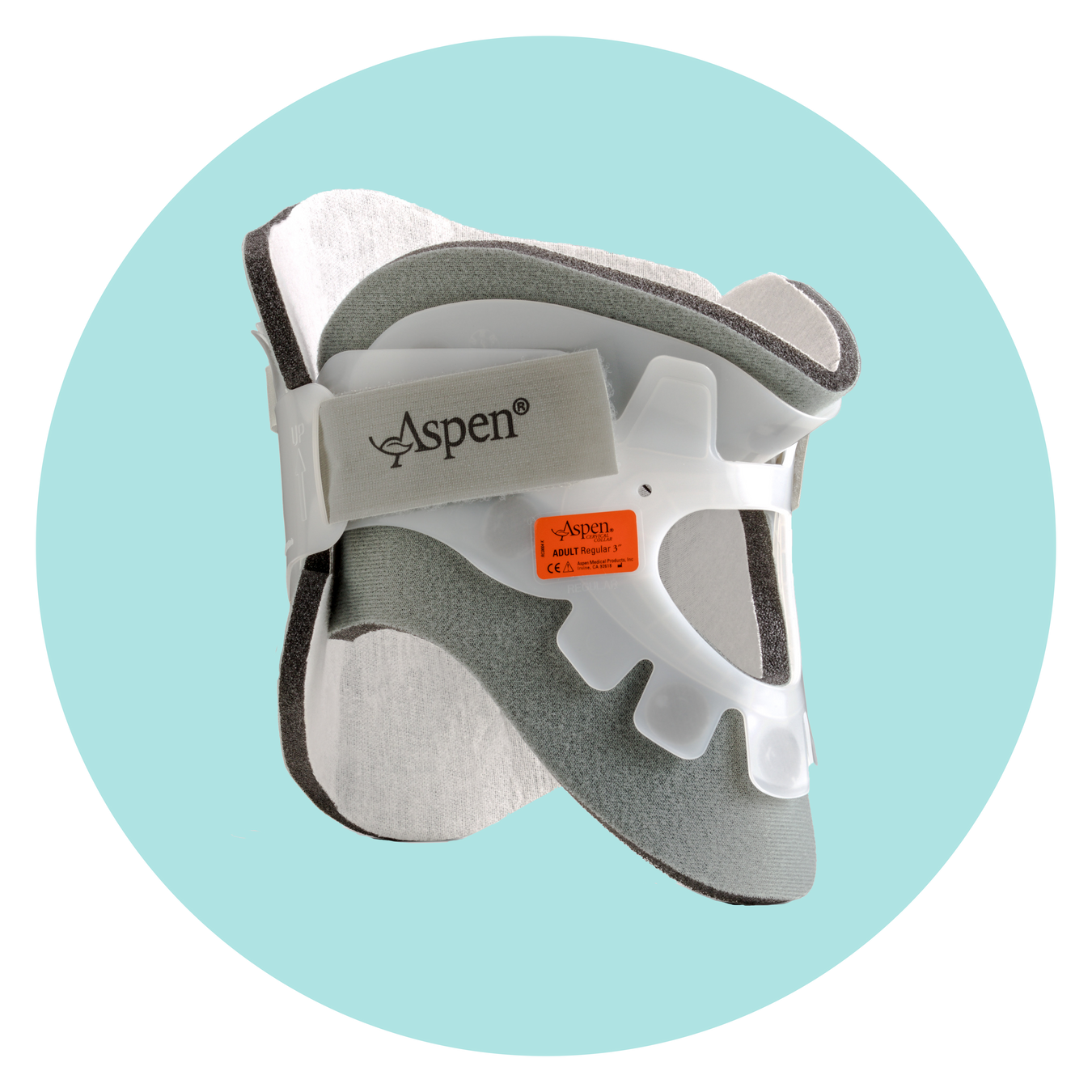Aspen Product Lines — Promedics Orthopaedics
