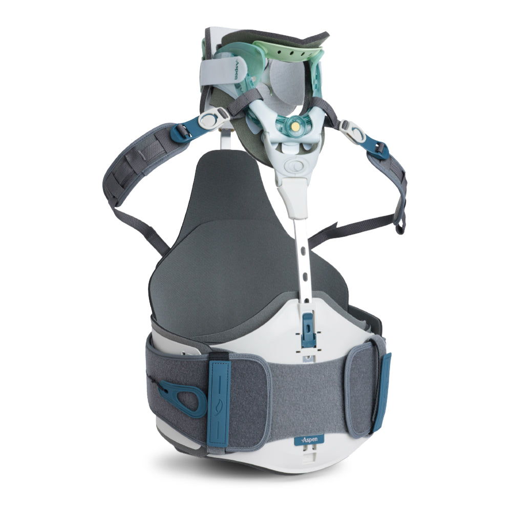 Vista II CTLSO — Promedics Orthopaedics