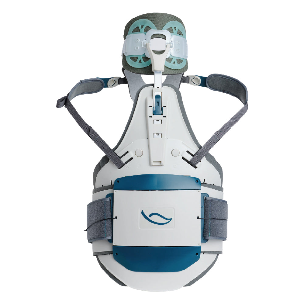 Vista II CTLSO — Promedics Orthopaedics