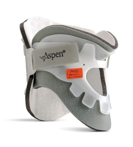 Aspen CTO — Promedics Orthopaedics