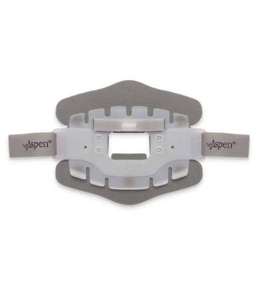 Aspen CTO — Promedics Orthopaedics