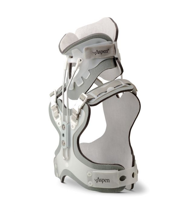 Aspen CTO — Promedics Orthopaedics