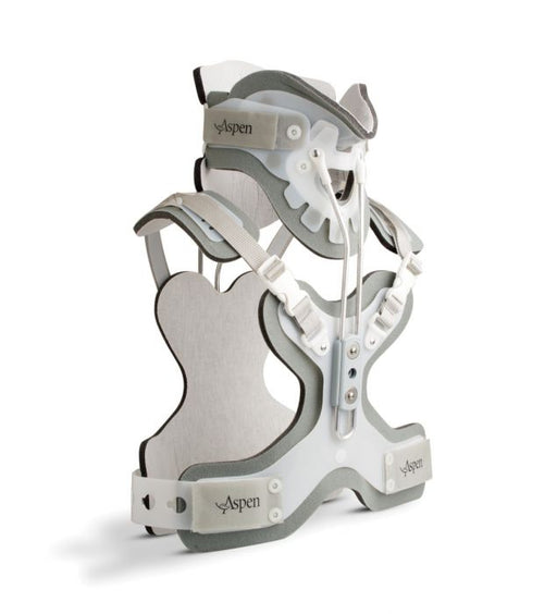 Aspen Spinal Products — Promedics Orthopaedics