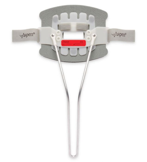 Aspen Spinal Products — Promedics Orthopaedics