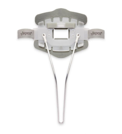 Aspen Spinal Products — Promedics Orthopaedics